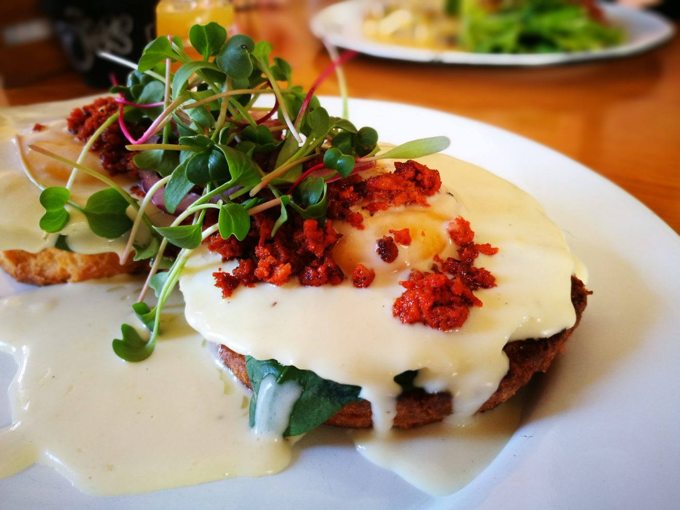 62 Best Restaurants in Merida Mexico + Merida Nightlife, Cantinas & Bars